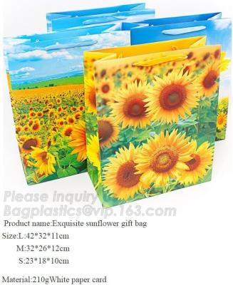 China Custom Printed Recycled Paper Gift Bag Foldable Promotional Luxury 1 Million Capacity for sale