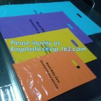 China Custom Printed LDPE HDPE Die Cut Handle Plastic Shopping Bag with Logo 12 Colors for sale
