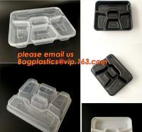 China Disposable Biodegradable 4 Compartment PP Lunch Box with Lid Eco Friendly Food Container for sale