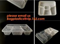 China Disposable Biodegradable 4 Compartment PP Lunch Box with Lid Eco Friendly Food Container for sale