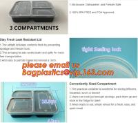 China Food Grade PP Plastic 4 Compartment Bento Box 800ml Leakproof Takeaway Lunch Container for sale