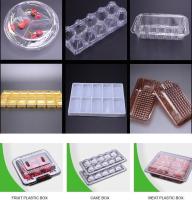 China Food Grade PET Plastic Clear Blister Tray 225x192x45mm for Cherry Tomato Oranges Egg Packaging for sale
