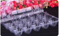 China Food Grade PET Plastic Clear Blister Tray 225x192x45mm for Cherry Tomato Oranges Egg Packaging for sale