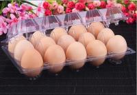 China Food Grade PET Plastic Clear Blister Tray 225x192x45mm for Cherry Tomato Oranges Egg Packaging for sale