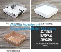 China PP Plastic Sushi Bento Lunch Box 650ml Microwave Safe Food Container with Lid for sale