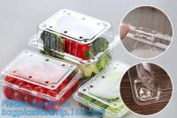 China 3000ml Large Plastic Salad Bowl Disposable PP Food Container with Lid 205x154x105mm for sale
