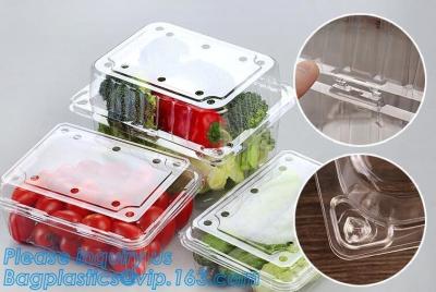 China 3000ml Large Plastic Salad Bowl Disposable PP Food Container with Lid 205x154x105mm for sale