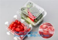 China 3000ml Large Plastic Salad Bowl Disposable PP Food Container with Lid 205x154x105mm for sale