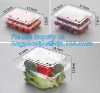 China 3000ml Large Plastic Salad Bowl Disposable PP Food Container with Lid 205x154x105mm for sale