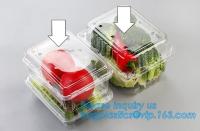 China 3000ml Large Plastic Salad Bowl Disposable PP Food Container with Lid 205x154x105mm for sale