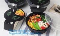 China 800ml Disposable PP Plastic Bento Food Container with Lid Microwave Safe BPA Free for sale