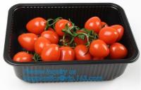 China 800ml Disposable PP Plastic Food Container Lunch Box Bento Box with Lid 2 Compartment for sale