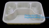 China Disposable Plastic Sushi Tray 800ml Food Container with Lid for Takeaway Packaging for sale
