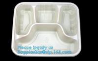 China Disposable Plastic Sushi Tray 800ml Food Container with Lid for Takeaway Packaging for sale