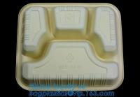 China Disposable Plastic Sushi Tray 800ml Food Container with Lid for Takeaway Packaging for sale