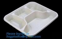 China Disposable Plastic Sushi Tray 800ml Food Container with Lid for Takeaway Packaging for sale