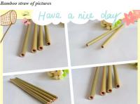 China Custom Logo 100 Natural Bamboo Straw with Brush 215 mm 6 mm Eco Friendly Reusable Drinking Straws for sale
