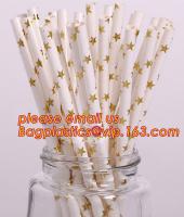 China Biodegradable PLA Paper Straws 197mm x 6mm Eco Friendly Disposable Drinking Straws for Restaurants Parties for sale