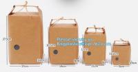 China 25kg Kraft Paper Bag for Cement Flour Rice Fertilizer Food Feed Moisture Proof Custom Logo for sale