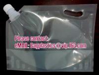 China Custom Reusable Stand Up Spout Plastic Bag 500ml 1000ml for Liquid with Child Proof Caps for sale