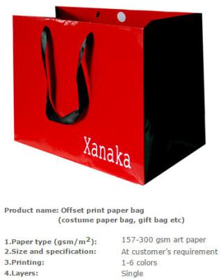 China Custom Printed Luxury Retail Paper Shopping Bag with Twist Handle 250gsm Kraft Paper for sale