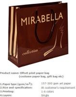 China Custom Printed Luxury Retail Paper Shopping Bag with Twist Handle 250gsm Kraft Paper for sale
