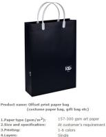 China Custom Eco-Friendly Kraft Paper Shopping Bag with Ribbon Handle 250gsm 24.5x12.5x31.5cm for sale