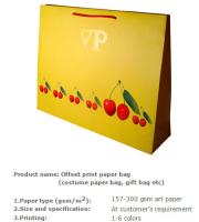China Custom Flat Ribbon Handle Paper Shopping Bag 250gsm Ivory Board 24.5x12.5x31.5cm for sale
