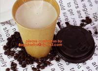 China 100% Compostable Paper Cups with Lids 10 oz Biodegradable Hot Cups PLA Lined for sale