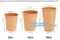 China Biodegradable PLA Coated Hot Paper Cup 9oz with Lids Custom Logo Disposable Coffee Cup for sale