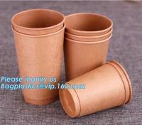 China Biodegradable PLA Coated Hot Paper Cup 9oz with Lids Custom Logo Disposable Coffee Cup for sale
