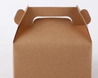 China Custom Printed Corrugated Fruit Cartons for Vegetables and Fruits Packing 3 Ply for sale