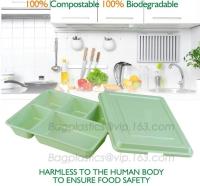 China fast food boxes custom logo printing, Compostable plastic food container, eco-product renewable 100% compostable PLA foo for sale