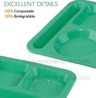 China 5 Compartment Biodegradable Plastic Lunch Box 226x140x22mm Disposable Food Container with SGS FDA Certification for sale