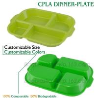 China 5 Compartment Biodegradable Plastic Lunch Box 226x140x22mm Disposable Food Container with SGS FDA Certification for sale