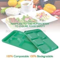 China Biodegradable Corn Starch Lunch Plate 7 9 Inch with Lid for School Students Children Disposable Eco Friendly for sale
