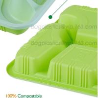 China Biodegradable Corn Starch Lunch Plate 7 9 Inch with Lid for School Students Children Disposable Eco Friendly for sale