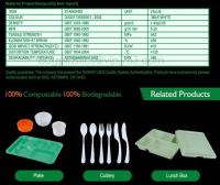 China Biodegradable 5 Compartment Plastic Food Tray 226x140x22mm Eco Friendly Lunch Plate for sale