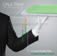 China Biodegradable 5 Compartment Plastic Food Tray 226x140x22mm Eco Friendly Lunch Plate for sale