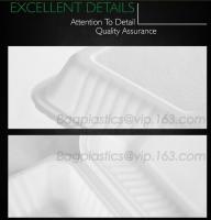 China Disposable PLA Square Lunch Box Microwave Safe 3 Compartment Fresh Preserved Eco Friendly 226x140x22mm for sale