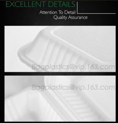 China Disposable PLA Square Lunch Box Microwave Safe 3 Compartment Fresh Preserved Eco Friendly 226x140x22mm for sale