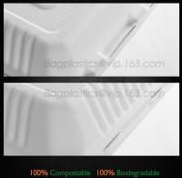 China Disposable PLA Square Lunch Box Microwave Safe 3 Compartment Fresh Preserved Eco Friendly 226x140x22mm for sale
