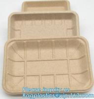 China Compostable Wheat Straw Plate 7 9 Inch Eco Friendly Disposable Dinnerware Customizable for sale