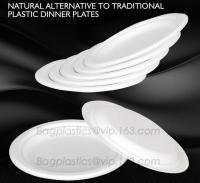 China Biodegradable Round Dinner Plate 7 9 Inch Eco Friendly Compostable Sugarcane Plates for sale