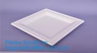 China 7 inch Biodegradable Corn Starch Plate Disposable Eco Friendly Tableware 100% Compostable for sale