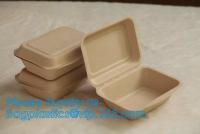 China Biodegradable Sugarcane Food Container 6 inch 450ml To Go Burger Box Eco Friendly Corn Starch for sale