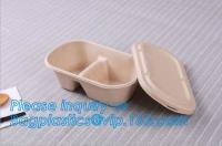 China Biodegradable Sugarcane Food Container 6 inch 450ml To Go Burger Box Eco Friendly Corn Starch for sale