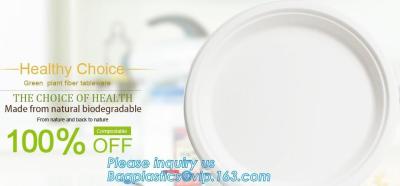 China Compostable Sugarcane Bagasse Bento Box Disposable Takeaway Food Container 226x140mm for sale