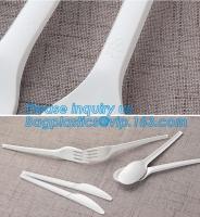 China Food Grade Biodegradable Corn Starch Soup Spoon 162mm Compostable Cutlery for Eco Friendly Disposable Tableware for sale