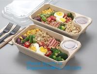 China Biodegradable Sugarcane Bagasse Food Container 7 inch 9 inch Microwave Safe Eco Friendly Disposable Plate for sale
